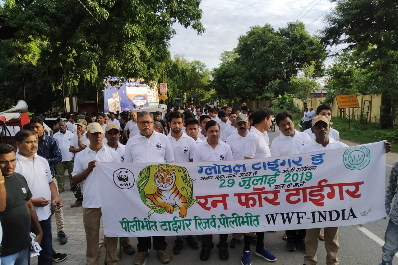 WWF-India - WeddingSutra